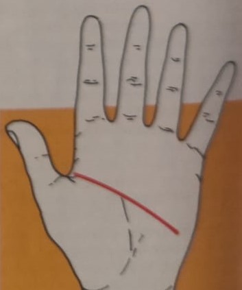 Lettura Mano: Domande e Risposte - I Tarocchi di Ursula